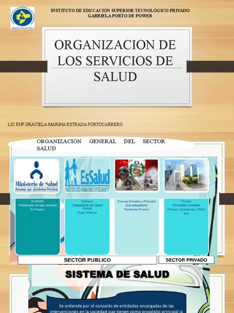Organizacion de Los Servicios de Salud | PDF