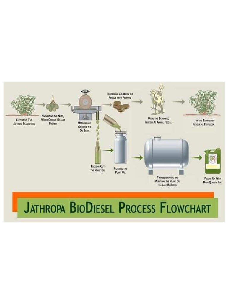 Biodiesel Production Flow Chart | PDF