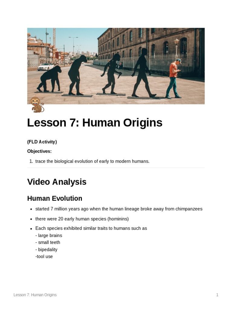 Lesson 7: Human Origins | PDF | Human Evolution | Human