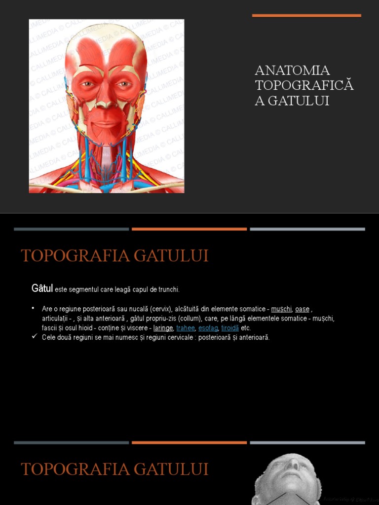 Anatomia Topografică A Gatului | PDF
