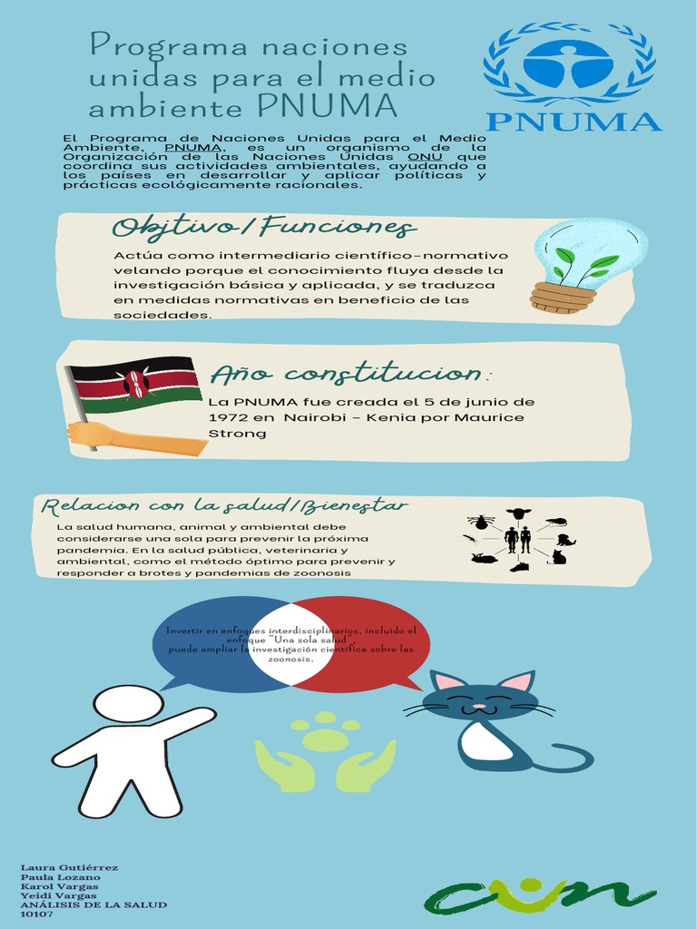 Programa Naciones para El Medio Ambiente PNUMA | PDF