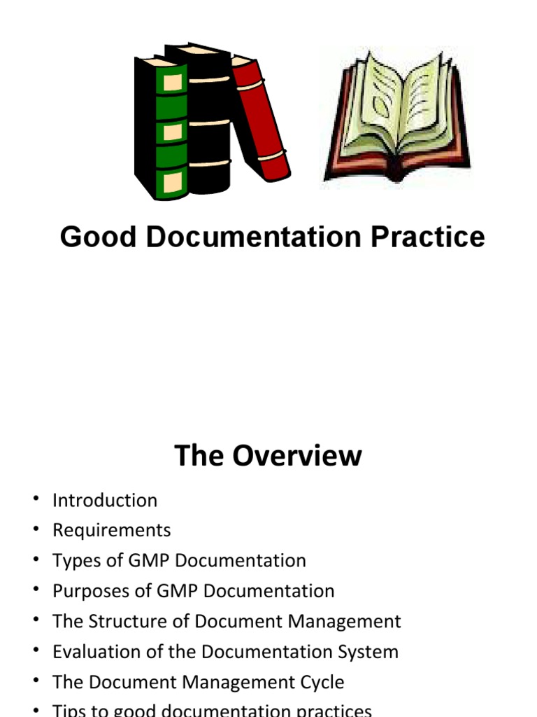 Good Documentation Practice Slides | PDF
