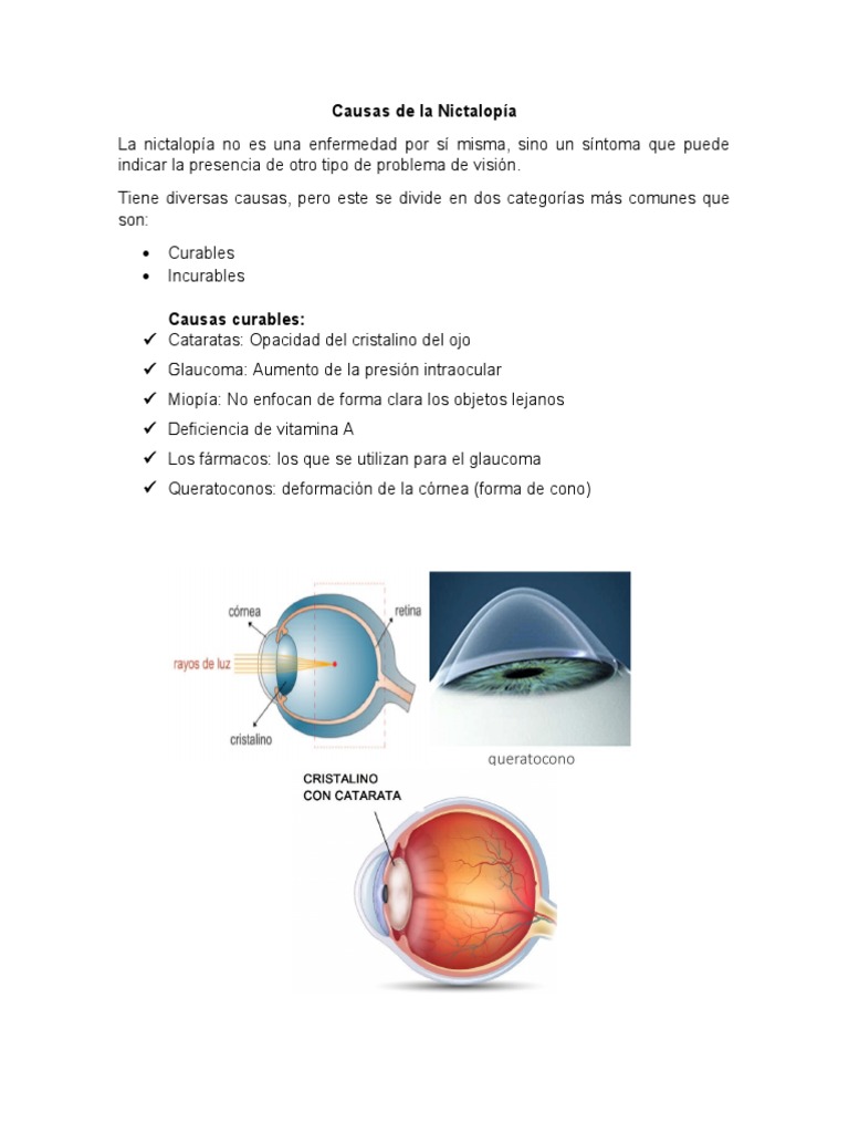 Causas de La Nictalopía | PDF