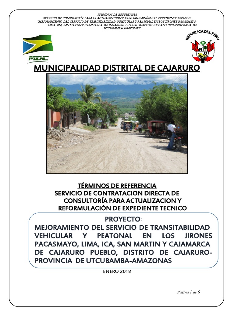 TDR Pavimentacion Calles | PDF | Presupuesto | Lima