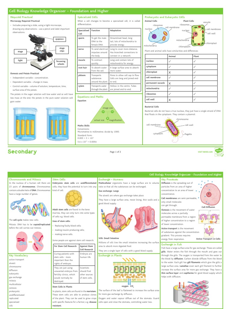 AQA Cell Biology Knowledge Organiser | PDF | Cell (Biology) | Gill