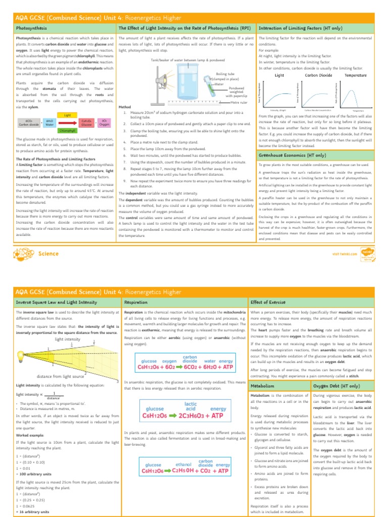 AQA Bioenergetics Knowledge Organiser | PDF | Photosynthesis | Cellular ...