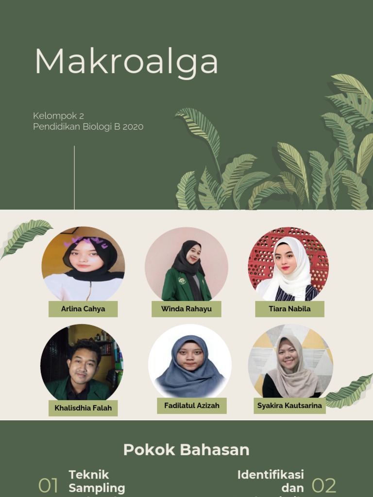 Kelompok 2 - Praktikum Botani Kriptogram - Makroalga | PDF