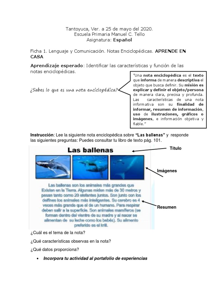 Actividades Aprende en Casa Del 25 Al 29 de Mayo | PDF | Aprendizaje ...