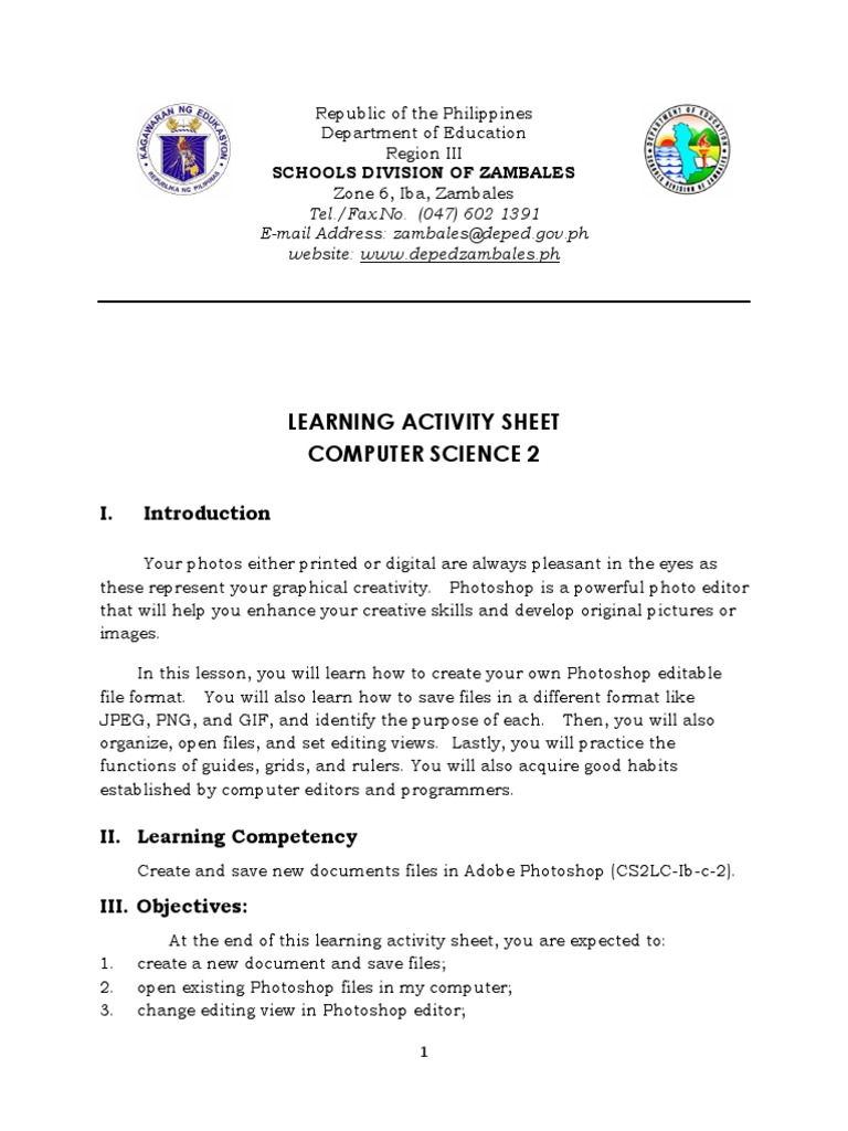 Learning Activity Sheet Computer Science 2 | PDF | Adobe Photoshop ...