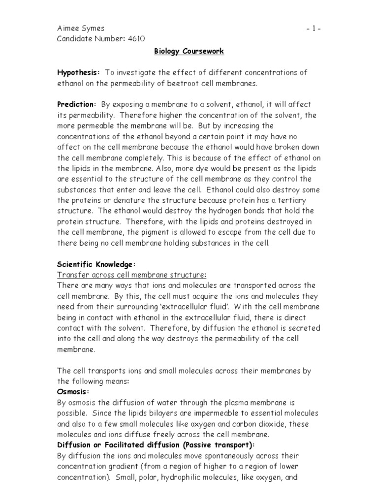Beet Root | PDF | Cell Membrane | Lipid Bilayer