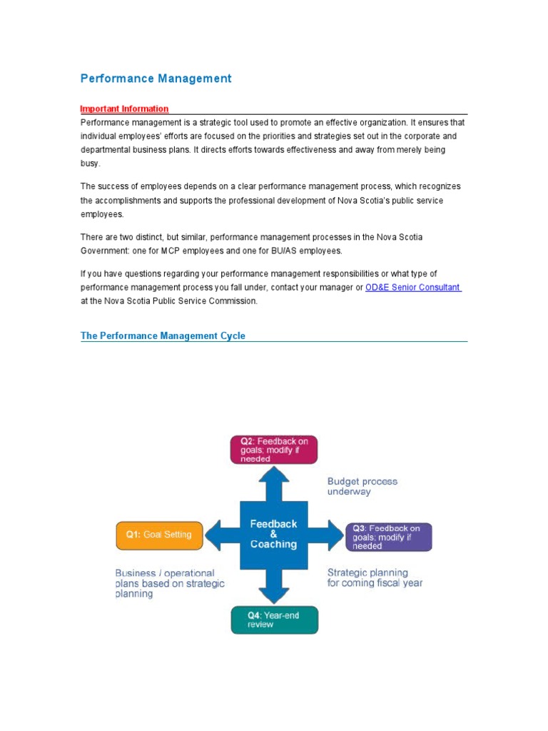 PMS | PDF | Performance Management | Strategic Management