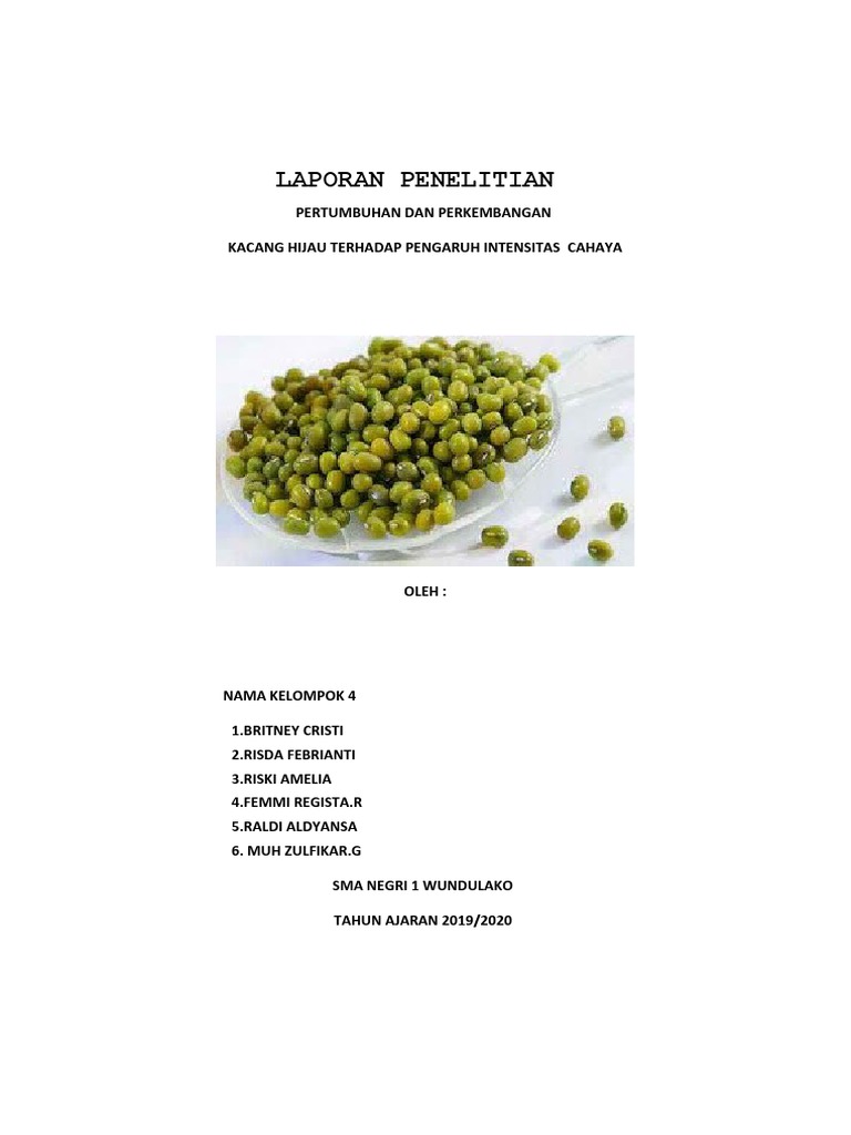 Laporan Pengamatan Kacang Hijau | PDF
