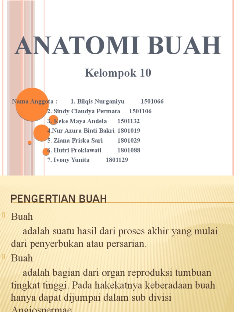 Anatomi Buah | PDF