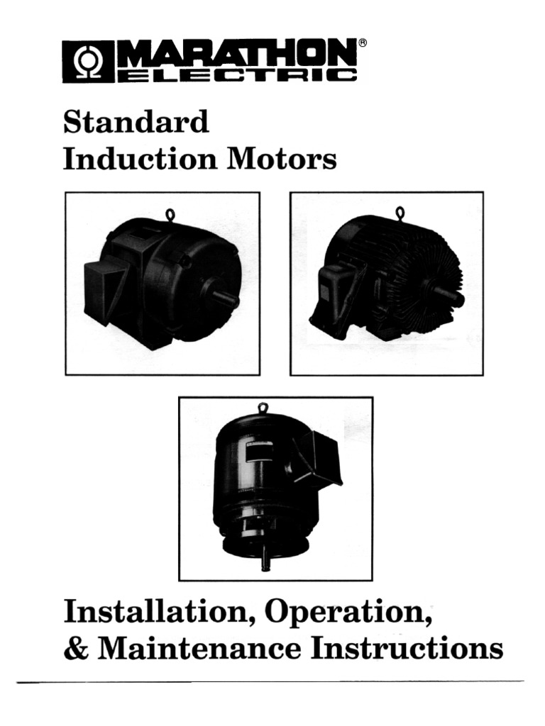 leeson-manual-pdf