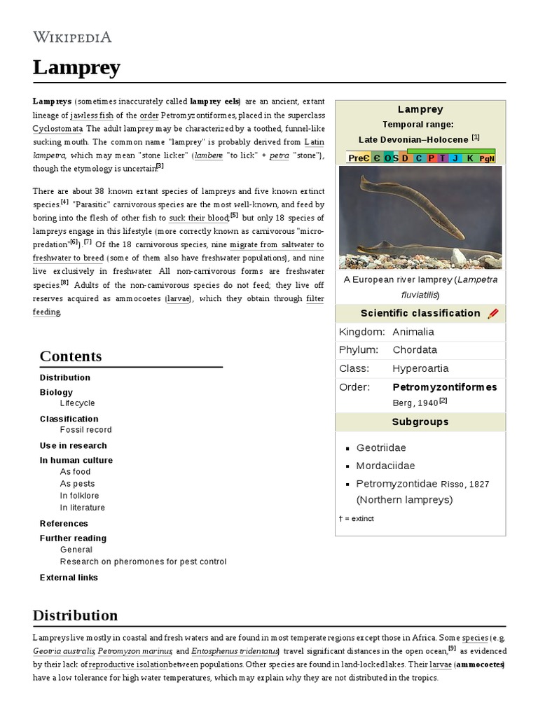 Lamprey: Lampreys (Sometimes Inaccurately Called Lamprey Eels) Are An ...