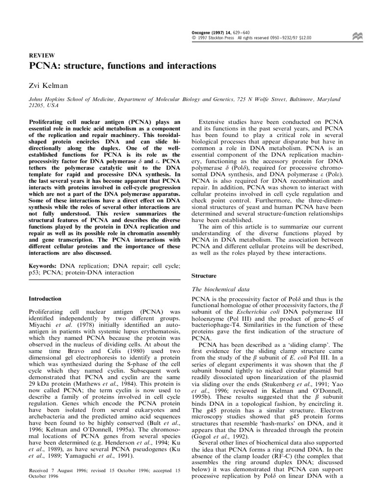 PCNA: Structure, Functions and Interactions: Zvi Kelman | PDF | Dna ...