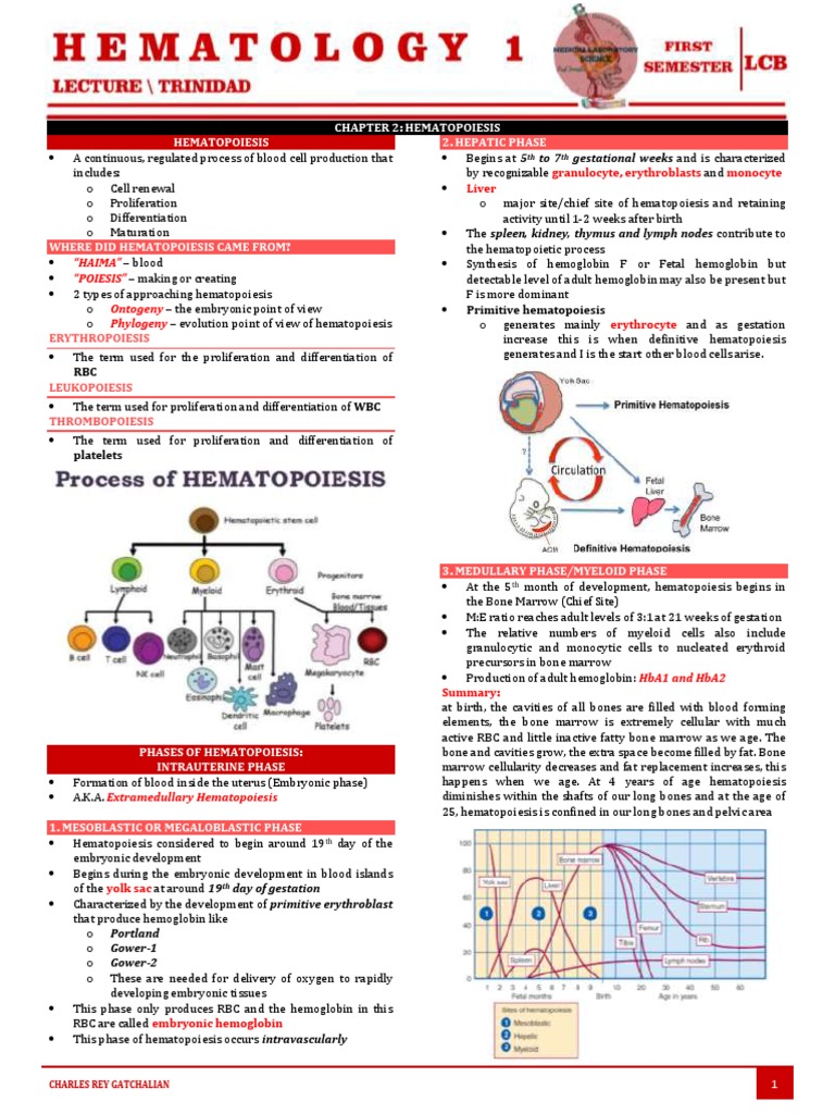 CHAPTER 2 Hematopoiesis | PDF | Haematopoiesis | Bone Marrow