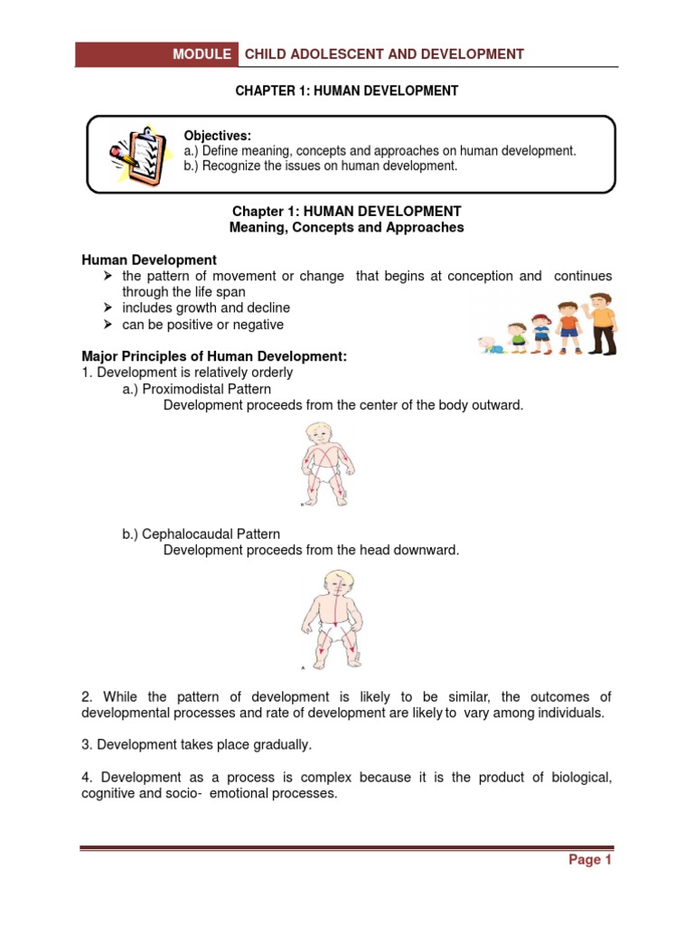 Principles of Human Development | PDF | Developmental Psychology ...