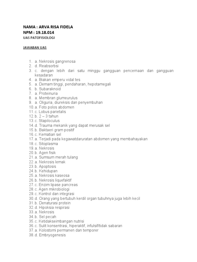 Uas Arva Risa Patofisiologi | PDF