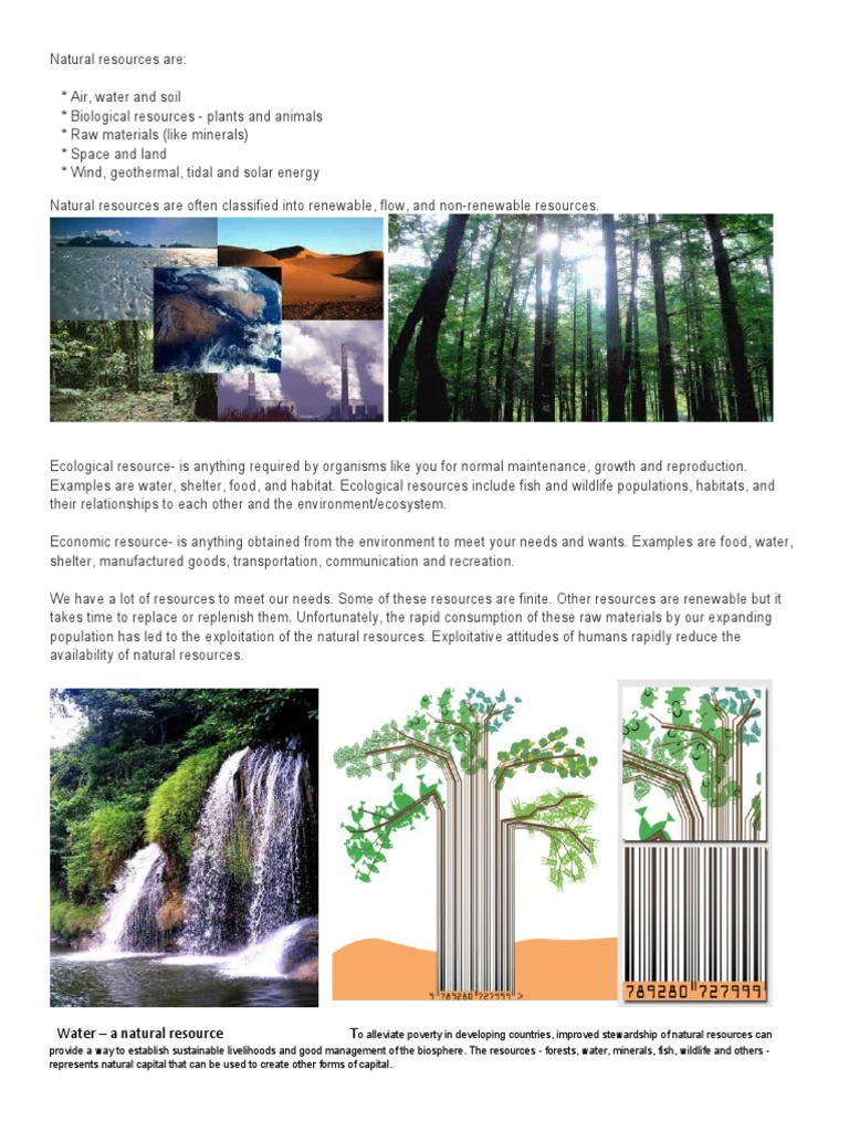 Examples Of Natural Resources