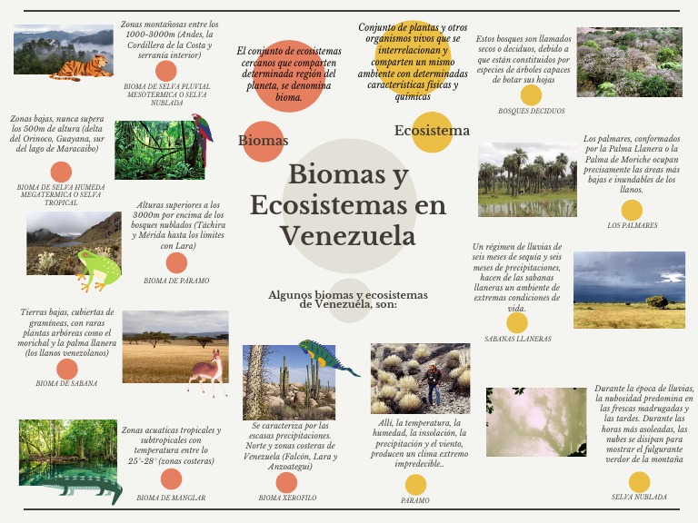 Biomas y Ecosistemas en Venezuela | PDF | Selva | Venezuela