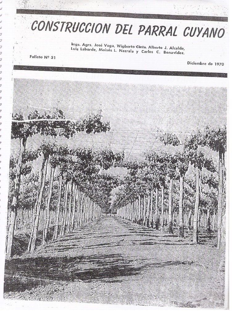 Construcción Del Parral Cuyano | PDF