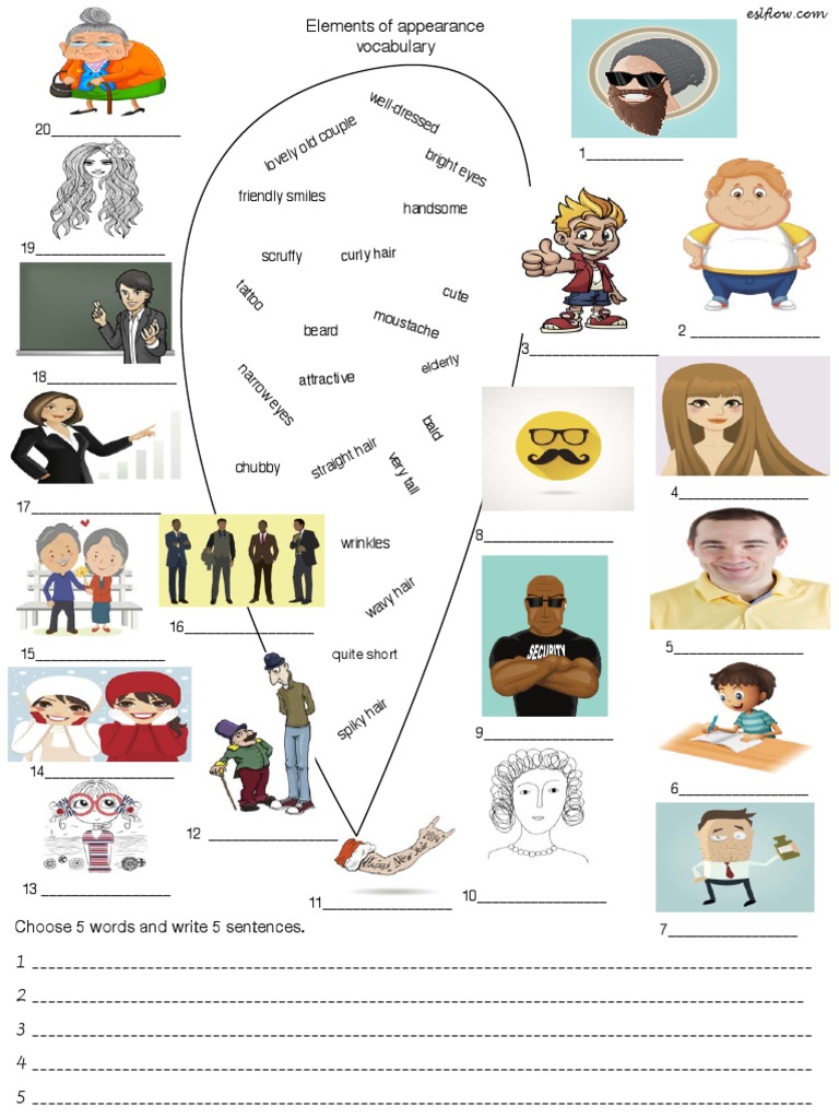 Describing Appearance | PDF | Hair | Human Anatomy