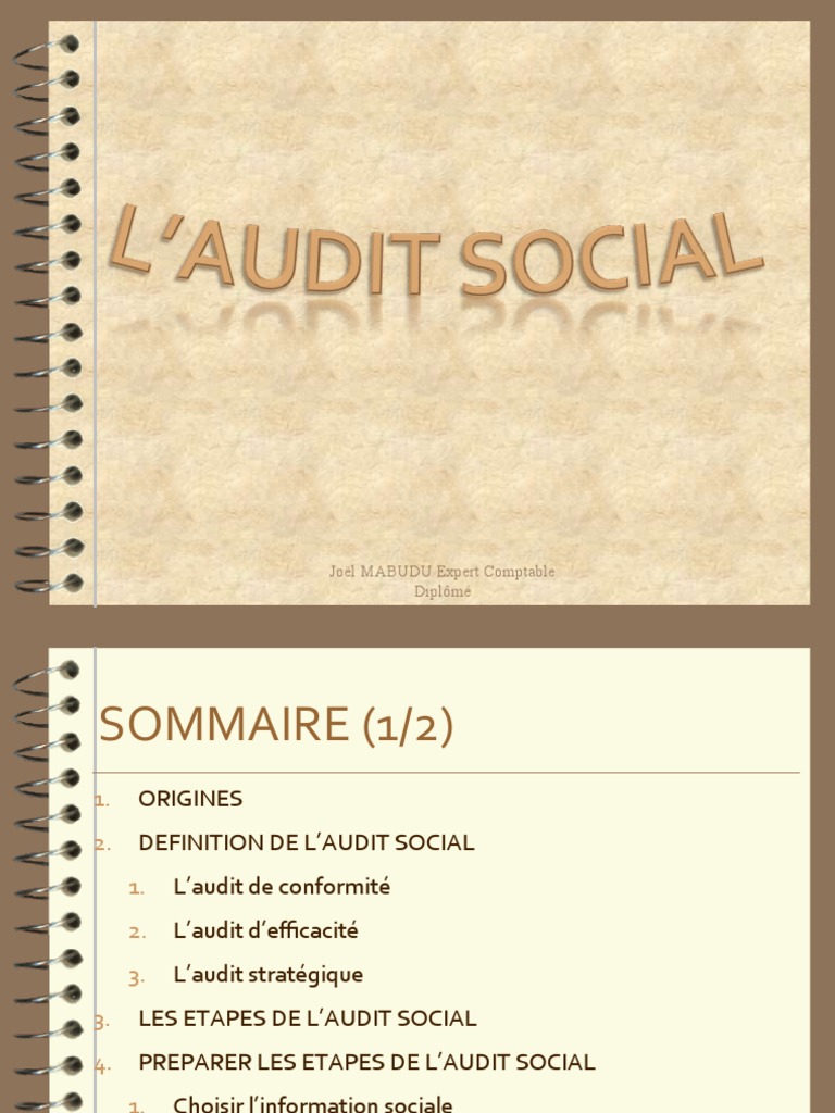 L'audit Social | PDF | Audit | Salaires
