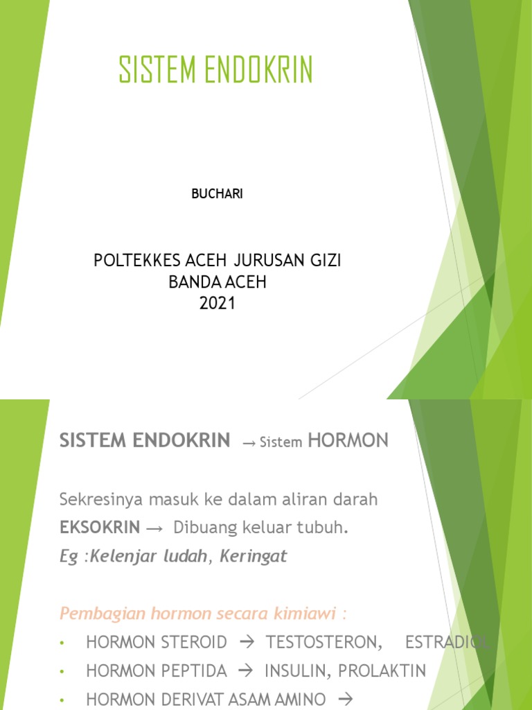 Sistem Endokrin (Gizi) | PDF
