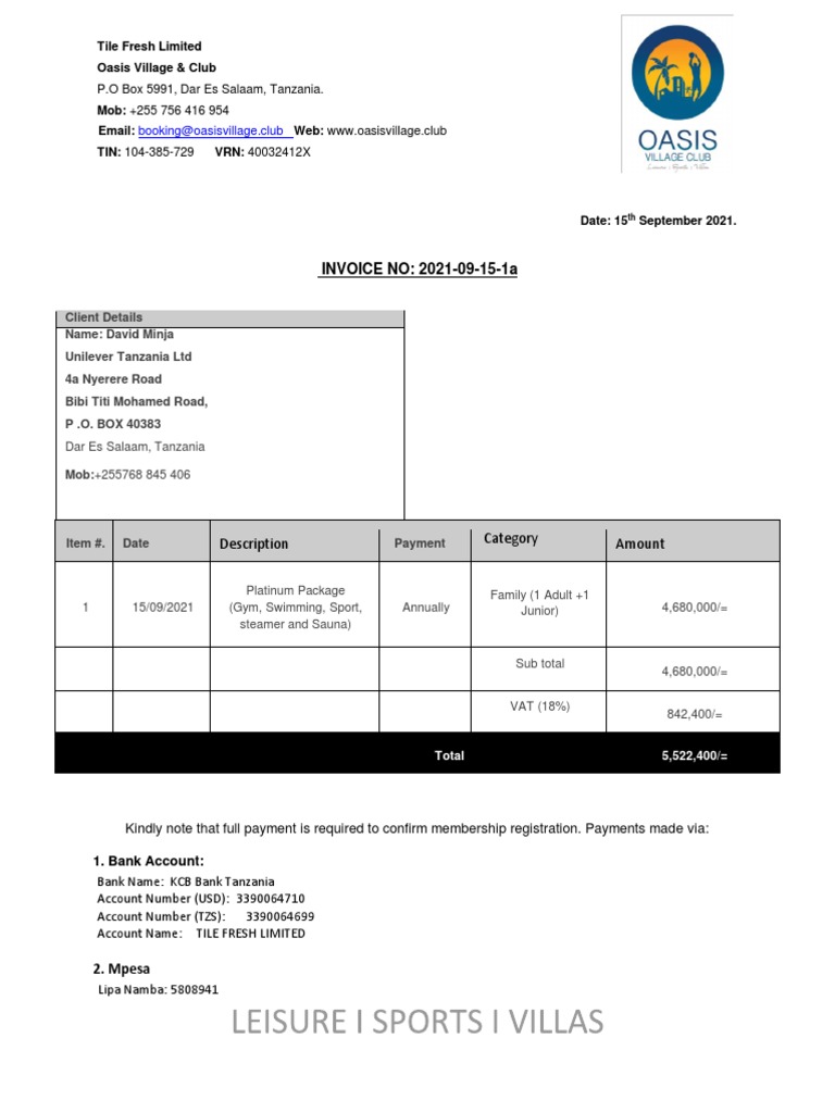 David Minja Invoice | PDF