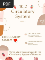 Functions of The Circulatory System | PDF | Blood | Blood Cell