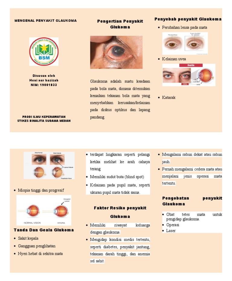 Tugas Keperawatan Komunitas Heni Nur Hazizah | PDF