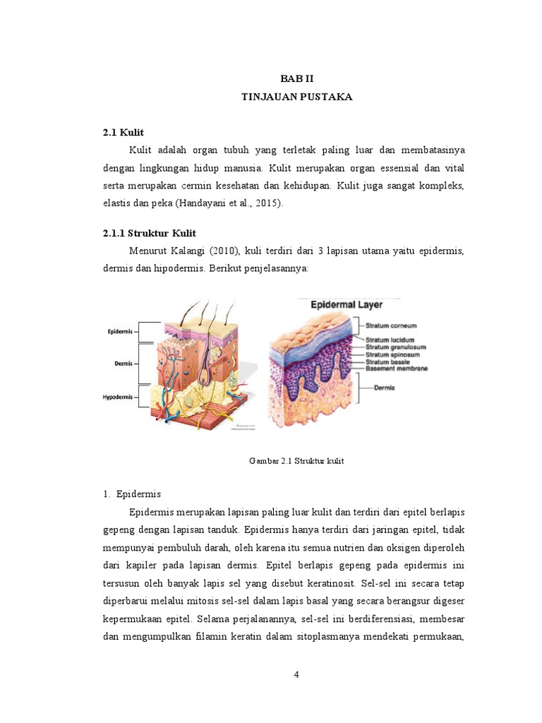 Bab 2 Acc | PDF