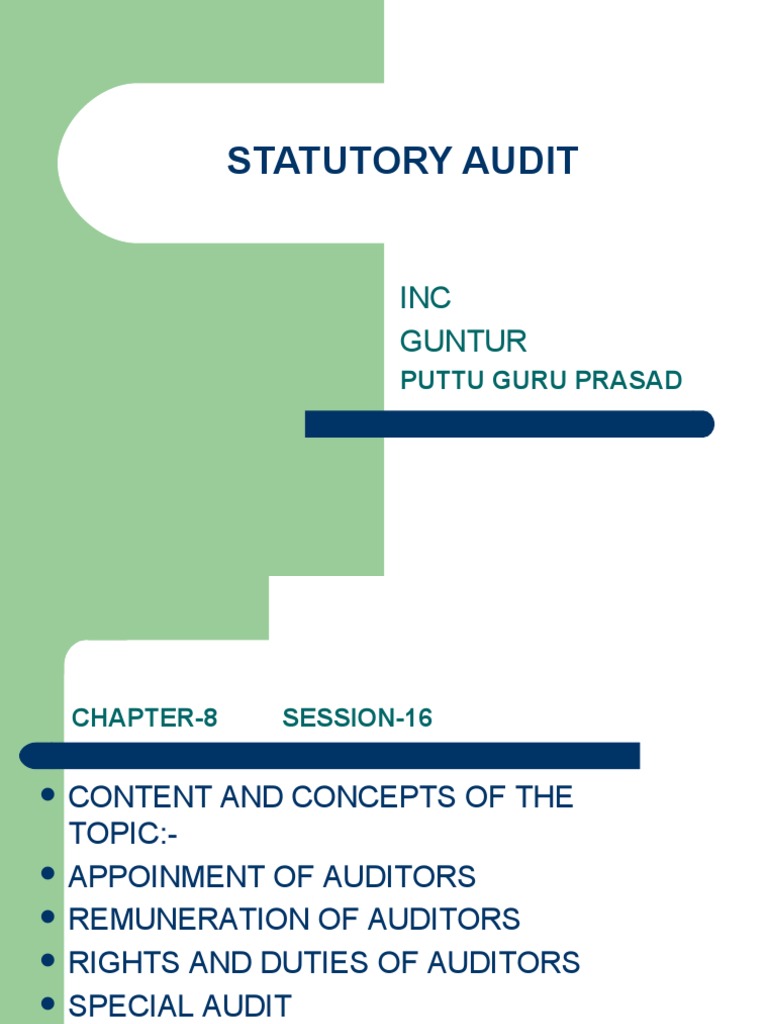 STATUTORY AUDIT | Audit | Financial Audit