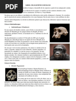 Dryopithecus | PDF | Hominidae | Homo Sapiens