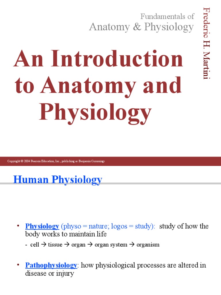 Introduction To Anatomy and Physiology Book | PDF | Tissue (Biology ...