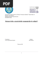 Activul Net Contabil Corectat | PDF