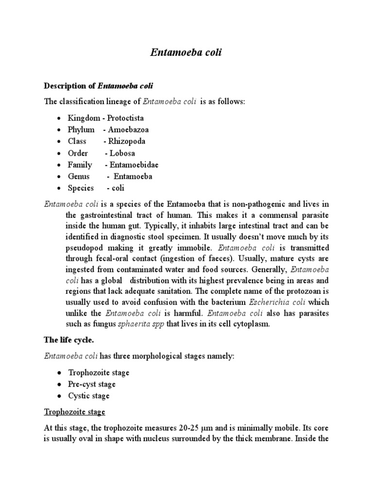 Entamoeba Coli Notes | PDF | Clinical Medicine | Biology
