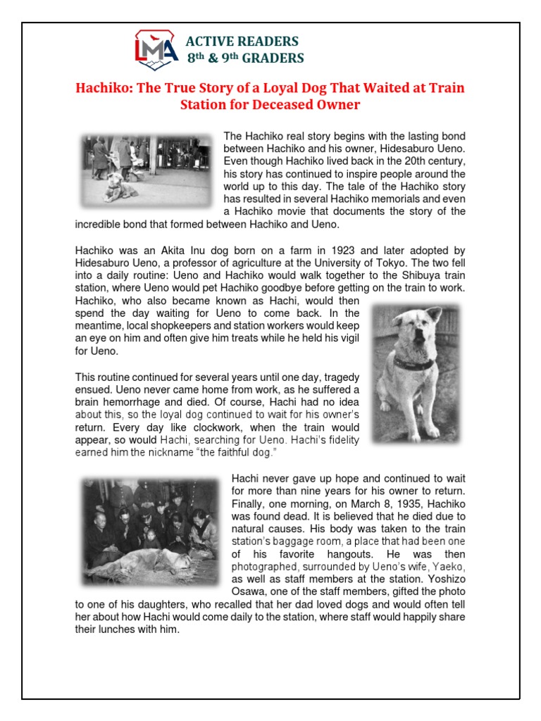 Lectura Ingles Hachiko | PDF | Dog Sports