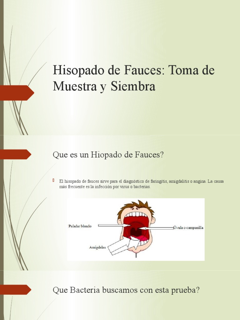Hisopado de Fauces Toma de Muestra, Cultivo y Generalidades. | PDF