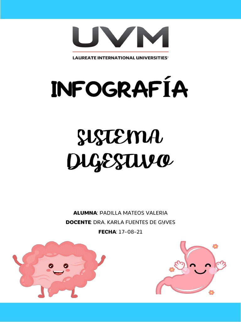 Infografía-Sistema Digestivo | PDF | Digestión | Sistema digestivo humano