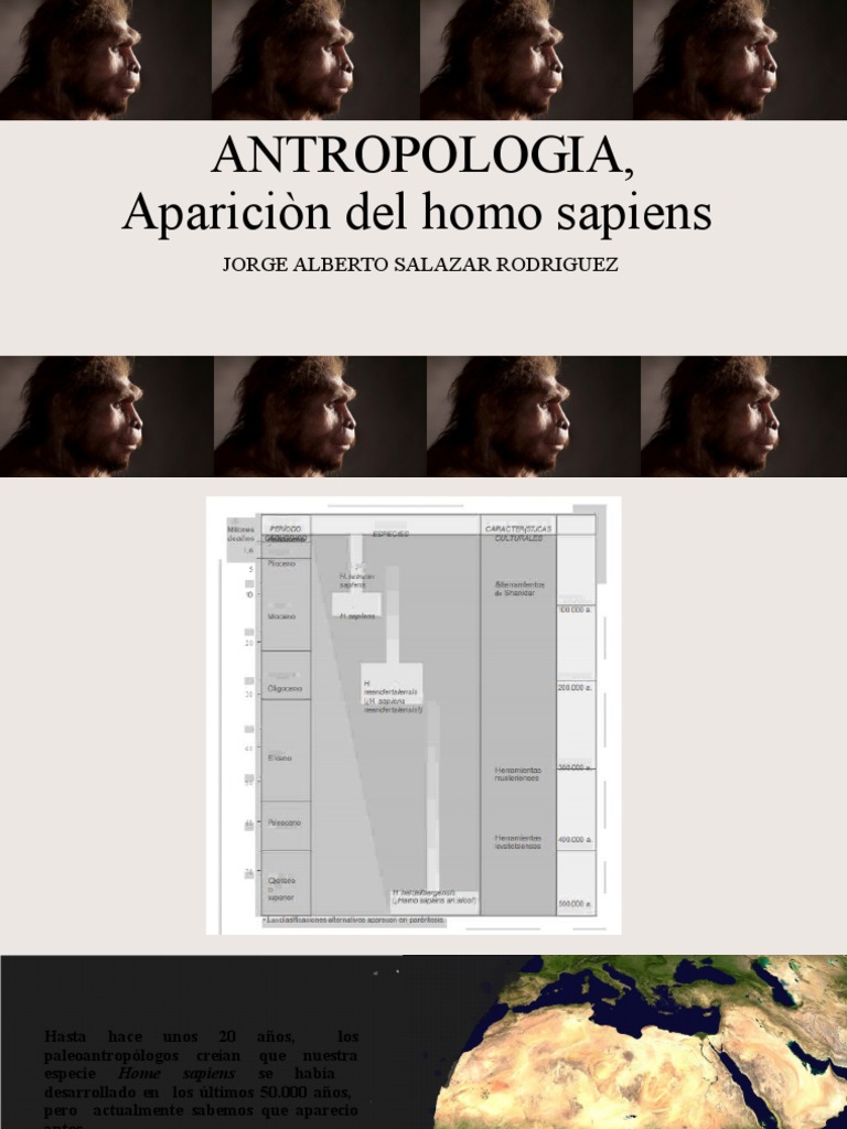Diapositivas Homo Sapiens | PDF | Homo | neanderthal