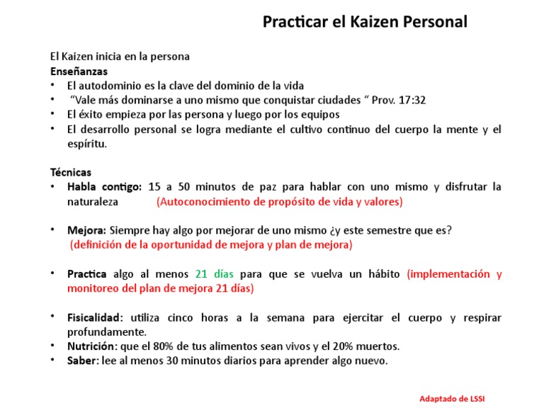 Kaizen Personal | PDF