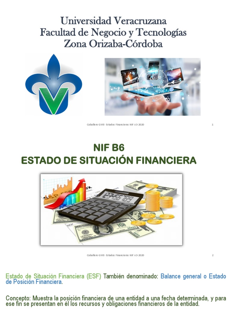 NIF B6 EdoSituacionFin | PDF | Estado financiero | Contabilidad