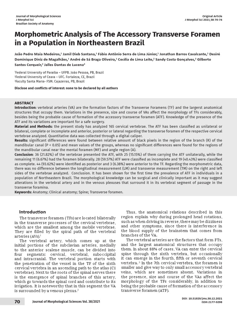 Morphometric Analysis of The Accessory Transverse Foramen | PDF ...
