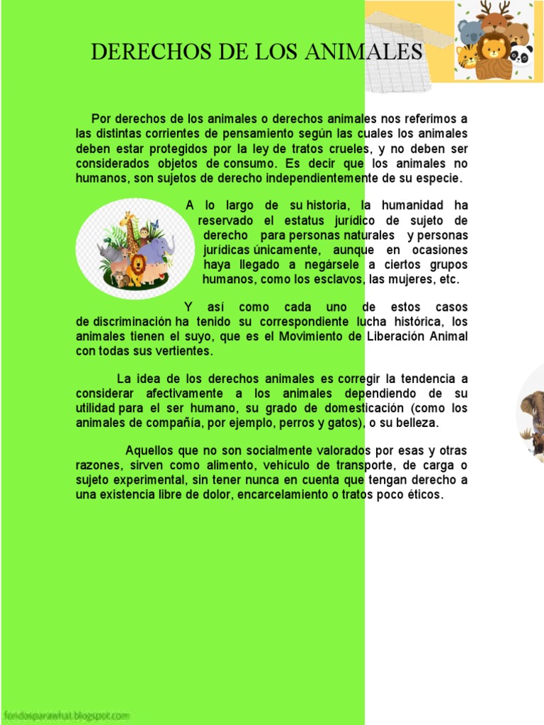 Derechos de Los Animales | PDF | Derechos animales | zoo