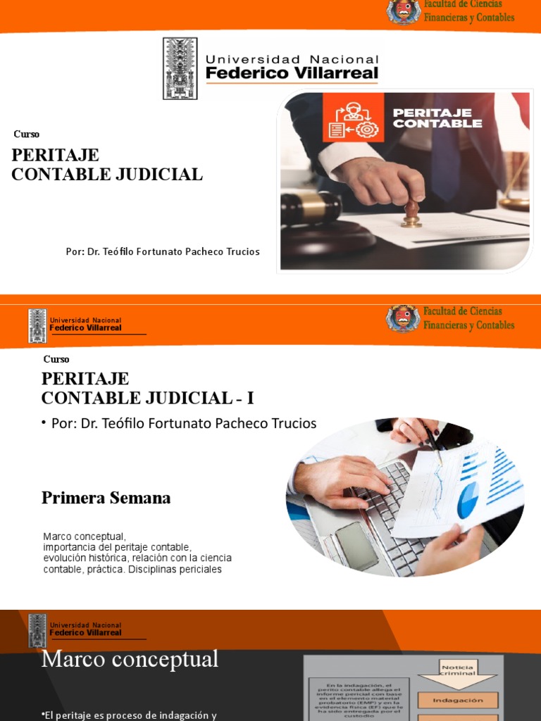 Peritaje Contable Judicial: Conceptos Clave | PDF | Experto | Contador