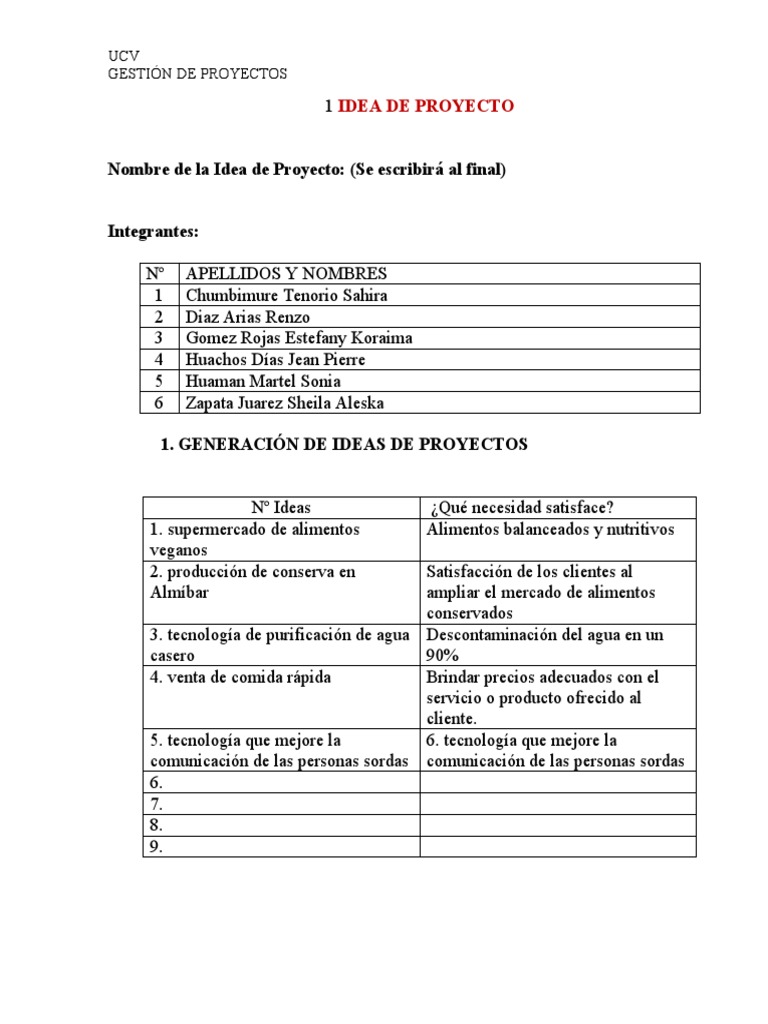 Formato Idea de Proyecto | PDF | Cliente | Business