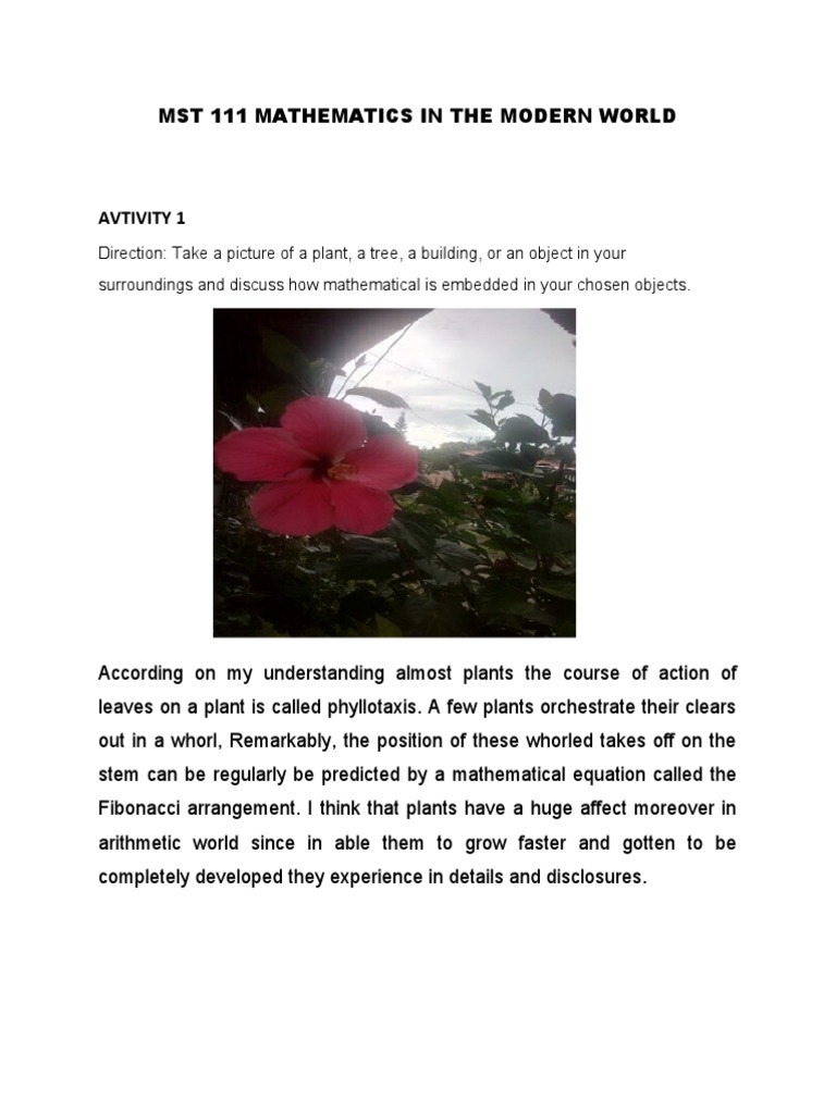 MST 111 Mathematics in The Modern World | PDF | Mathematics | Numbers