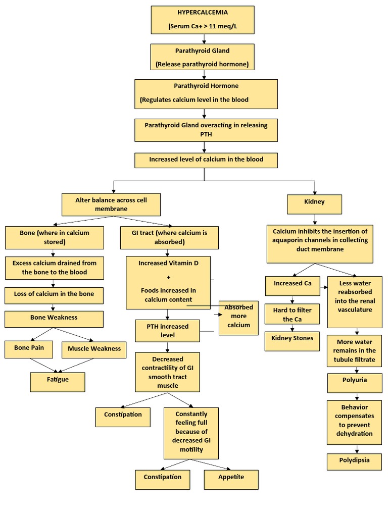 Hypercalcemia: Causes and Effects | PDF | Parathyroid Gland | Medical ...